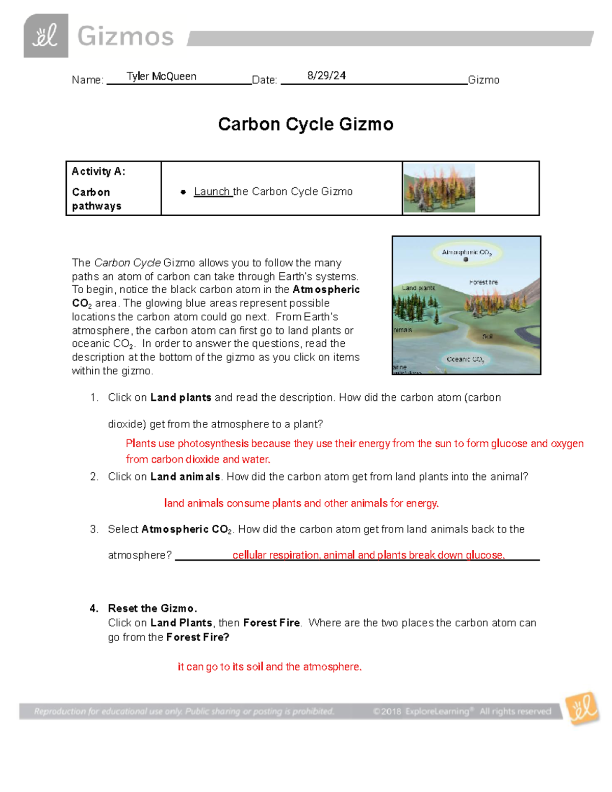 Bio 101 - Activity - Understanding the Carbon Cycle Gizmo - Studocu