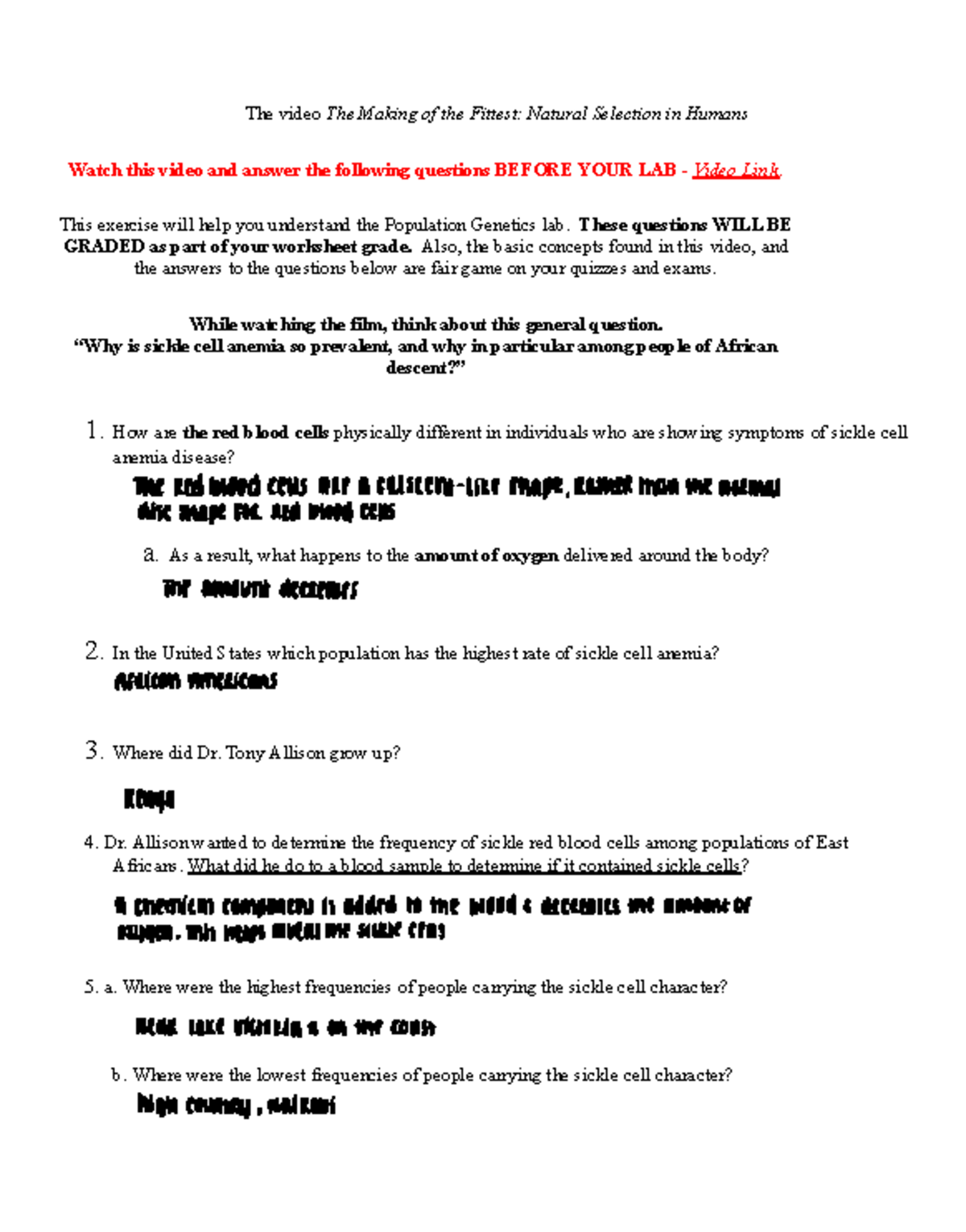 Sickle Cell Anemia Population Genetics Lab Worksheet - Studocu