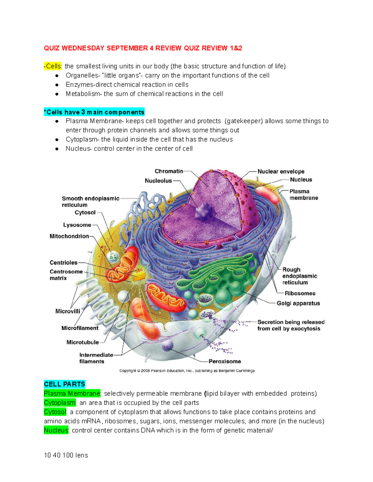 Chapter 2: Cells and Microscope Anatomy Study Guide (8-28-19) - Studocu
