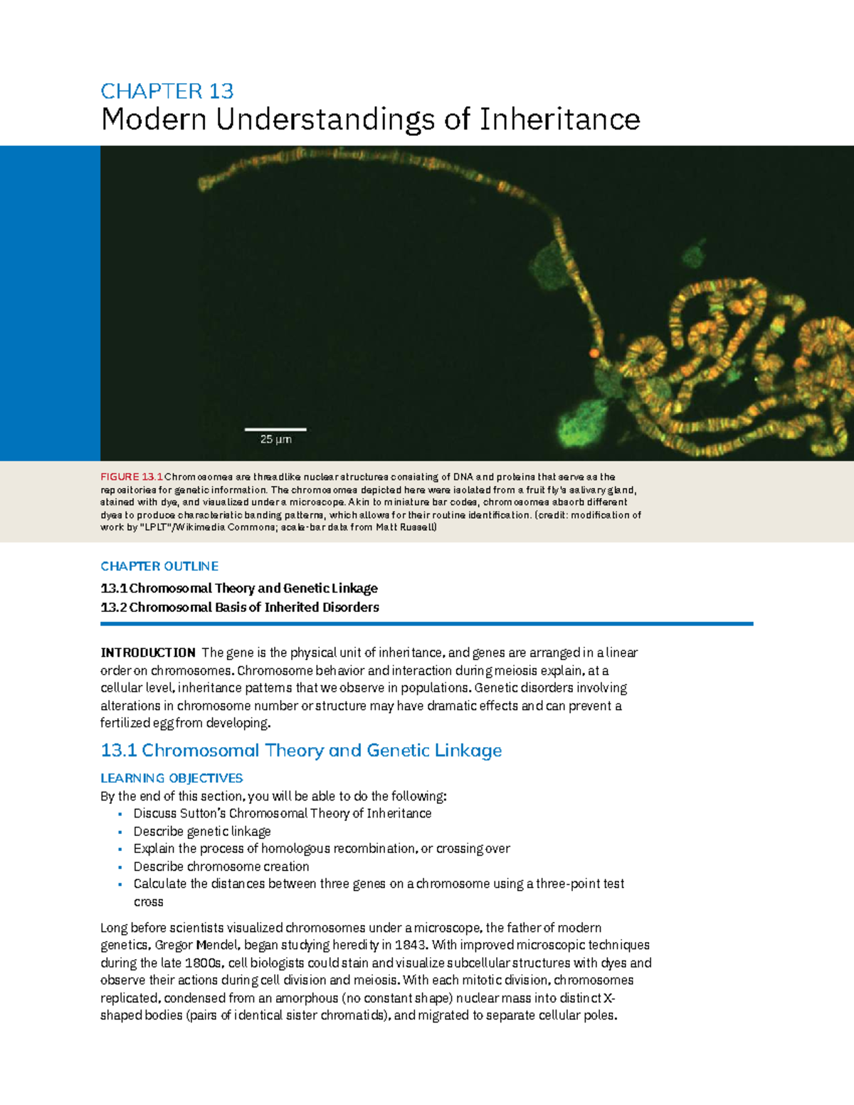 CHAPTER 13 Chromosomal Theory, Linkage, Mapping, and Ploidy - Studocu