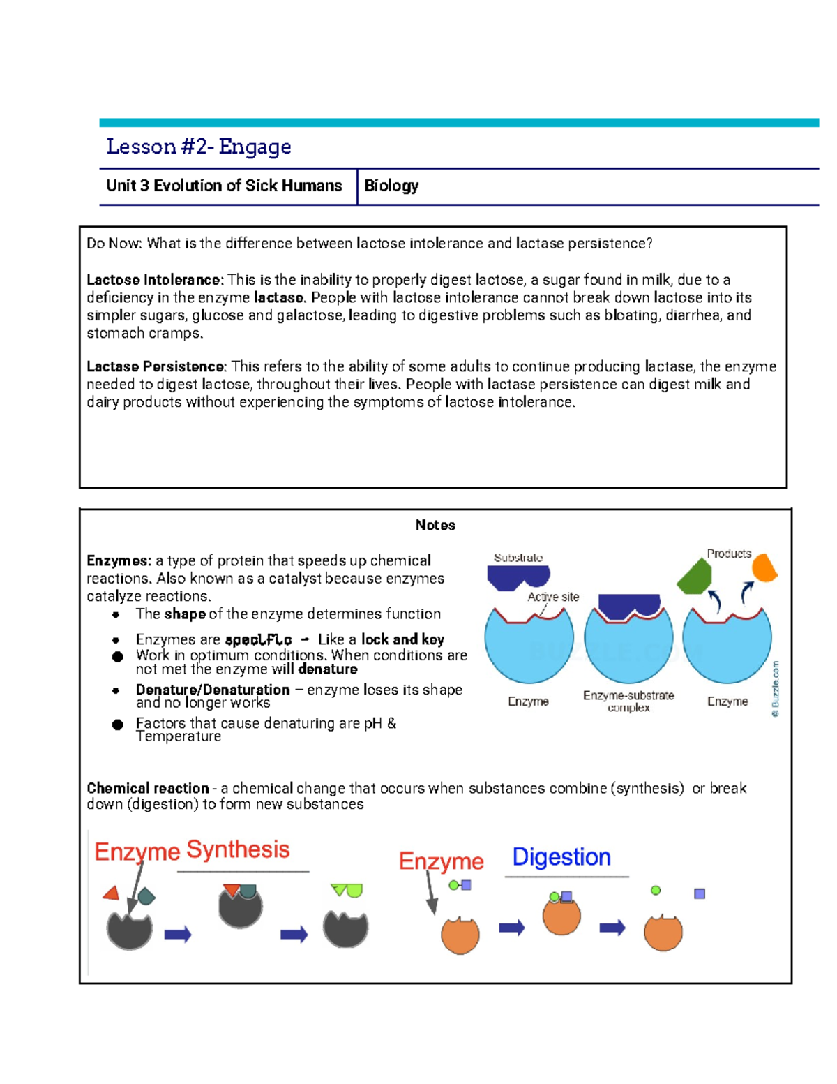 Biology Unit 3 Lesson: Analyzing Lactose Intolerance vs. Persistence ...