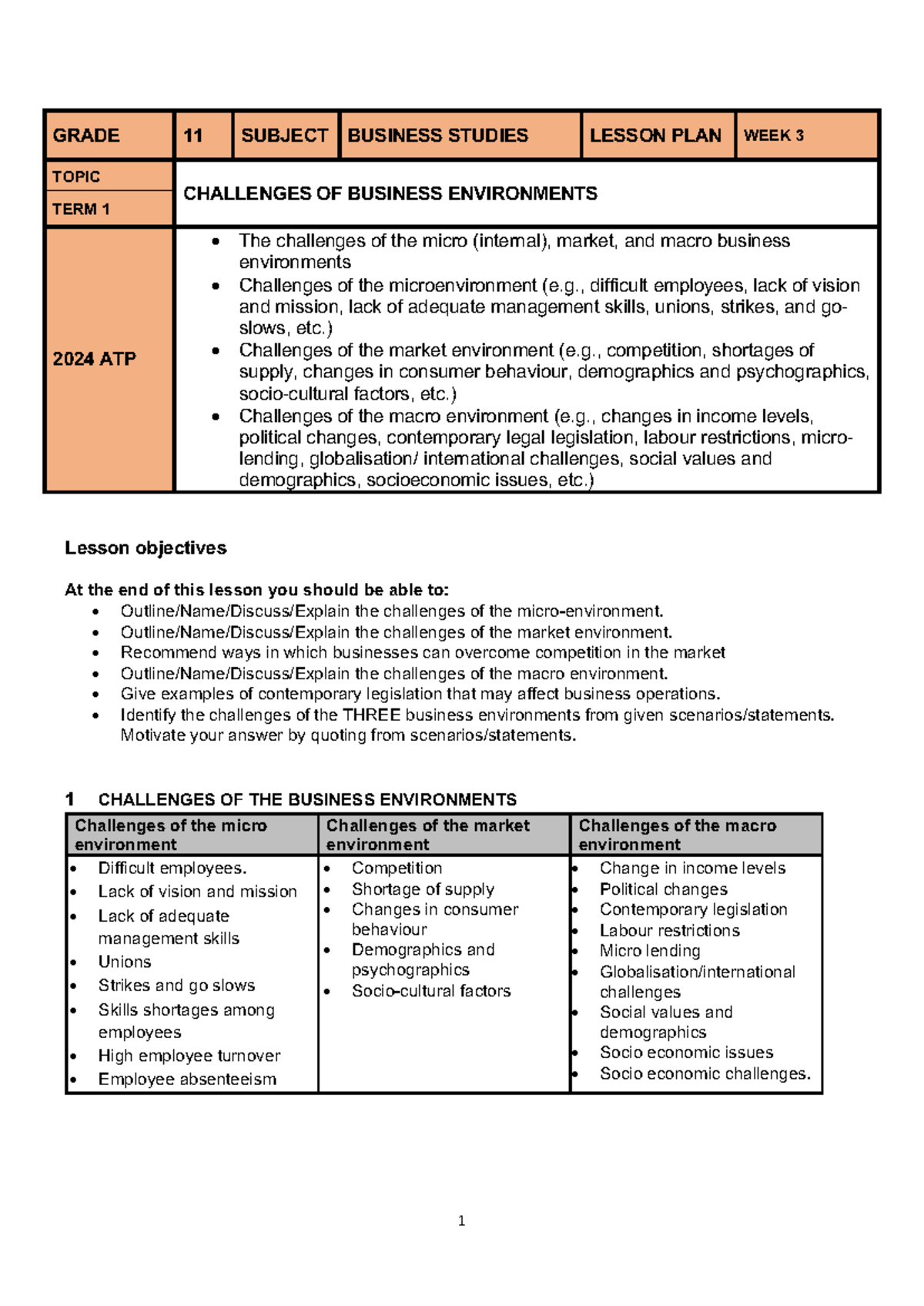 2024 Grade 11 Business Studies Lesson Plan: Challenges & Adaptations in ...
