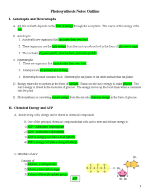 Menstrual Cycle Graphing Lab - Teacher_____________________ Lab Days ...