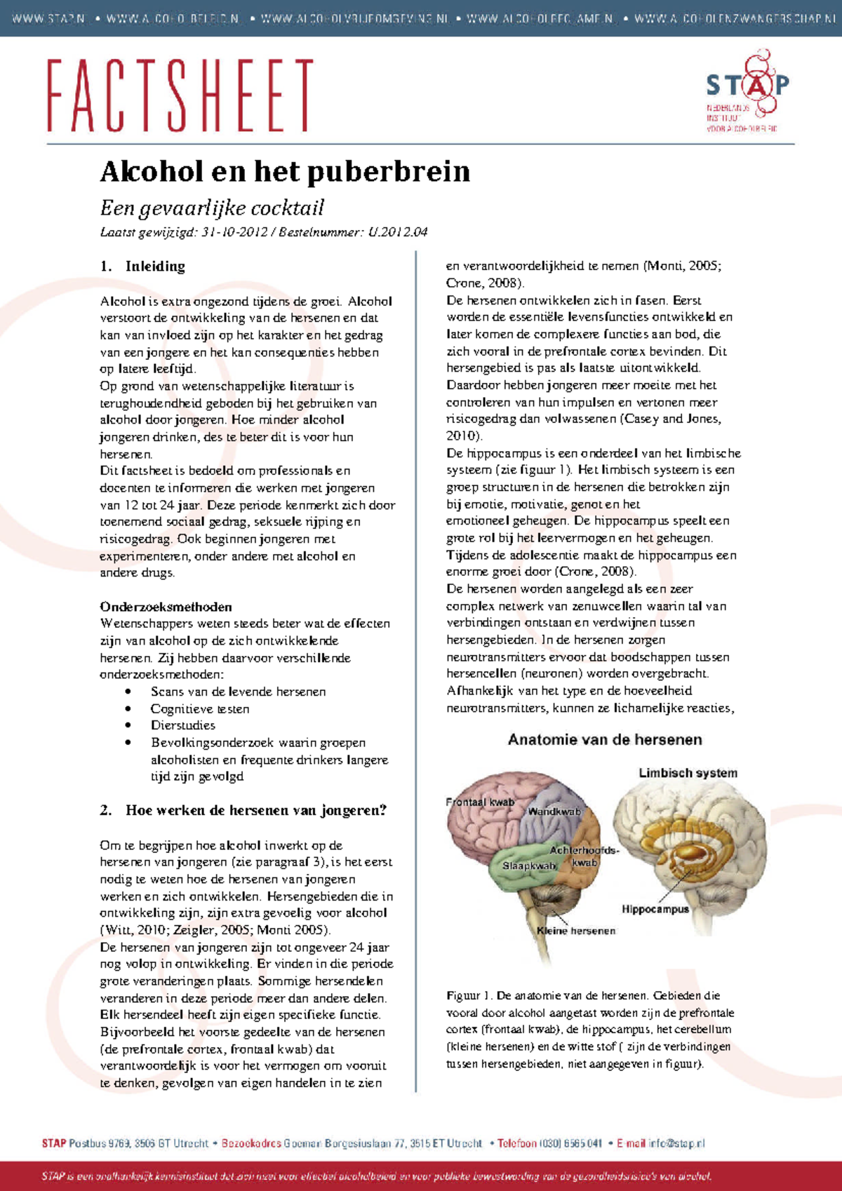 121102 Factsheet: De Impact van Alcohol op het Brein van Jongeren ...