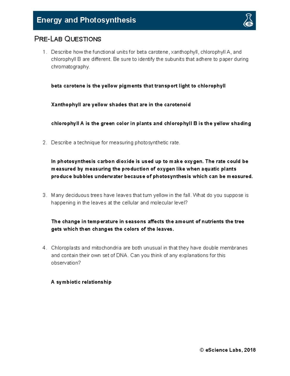 IB 1108 L20 Photosynthesis e science lab - Energy and Photosynthesis ...