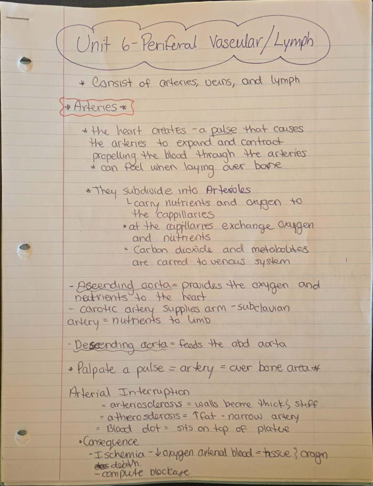 PVS Assessment - Lecture Notes for OSCE Prep - Studocu