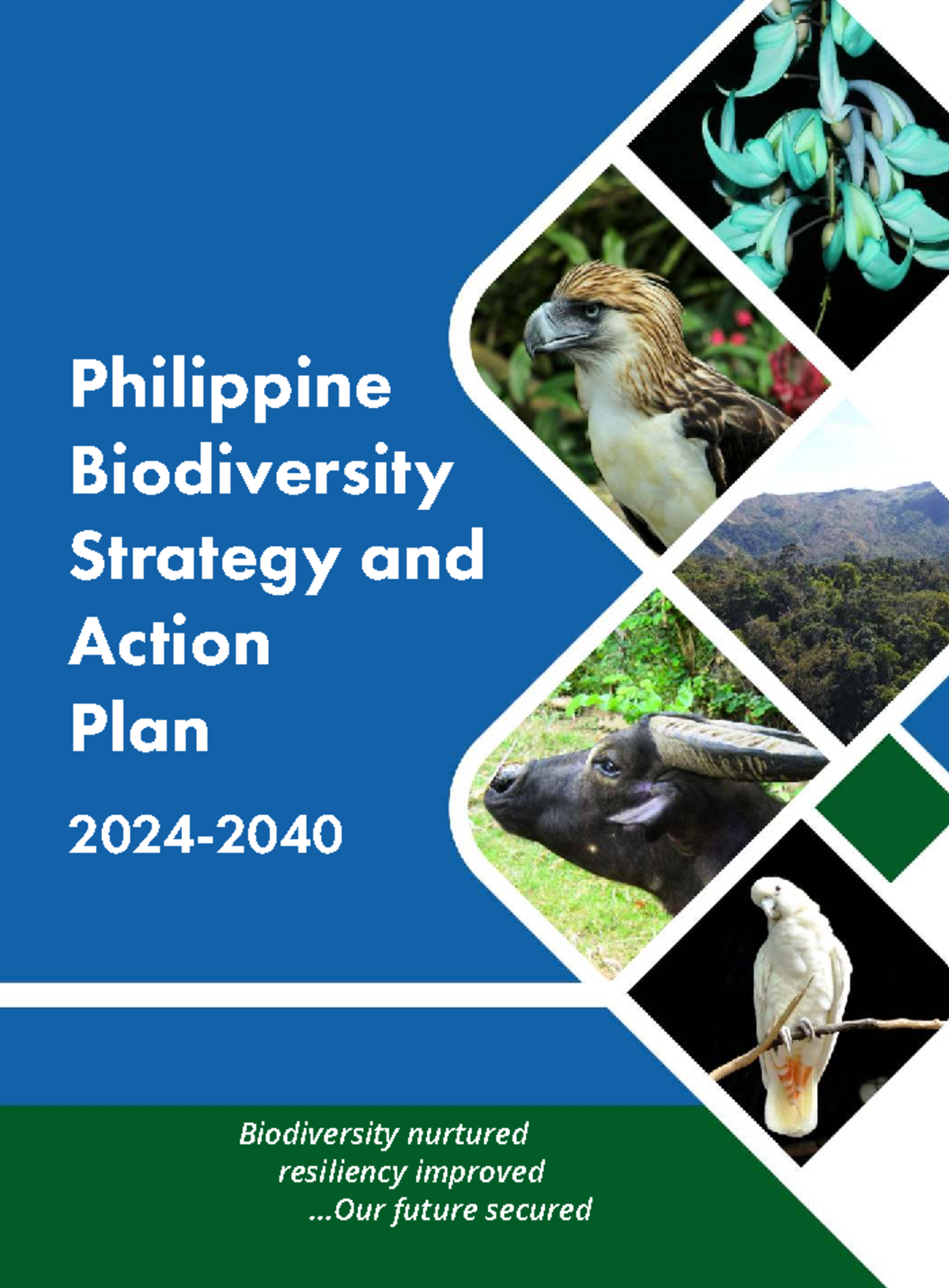 Philippine Biodiversity Strategy and Action Plan (PBSAP) 2024-2040 ...