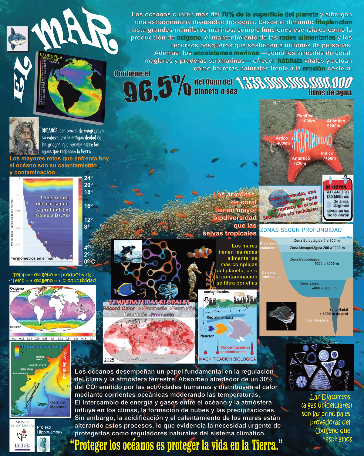Infografía sobre los Océanos y su Importancia Ecológica 35 - Studocu