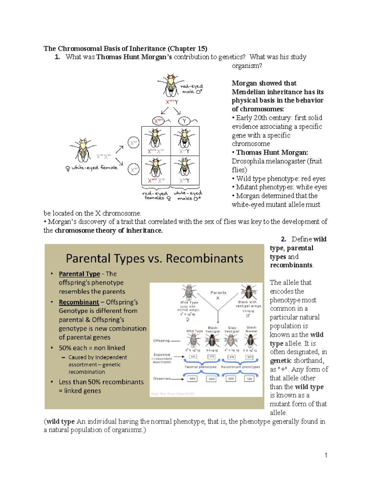 Chapter 15: The Chromosomal Basis of Inheritance - The Chromosomal ...