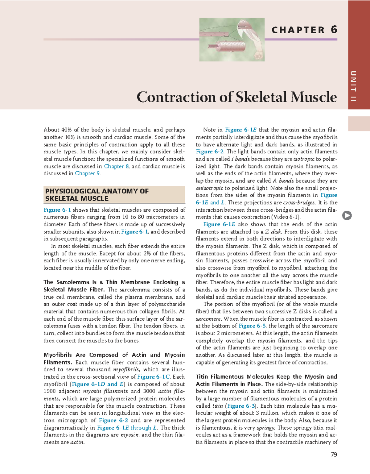 Chapter 6: Skeletal Muscle Contraction - A Comprehensive Overview - Studocu