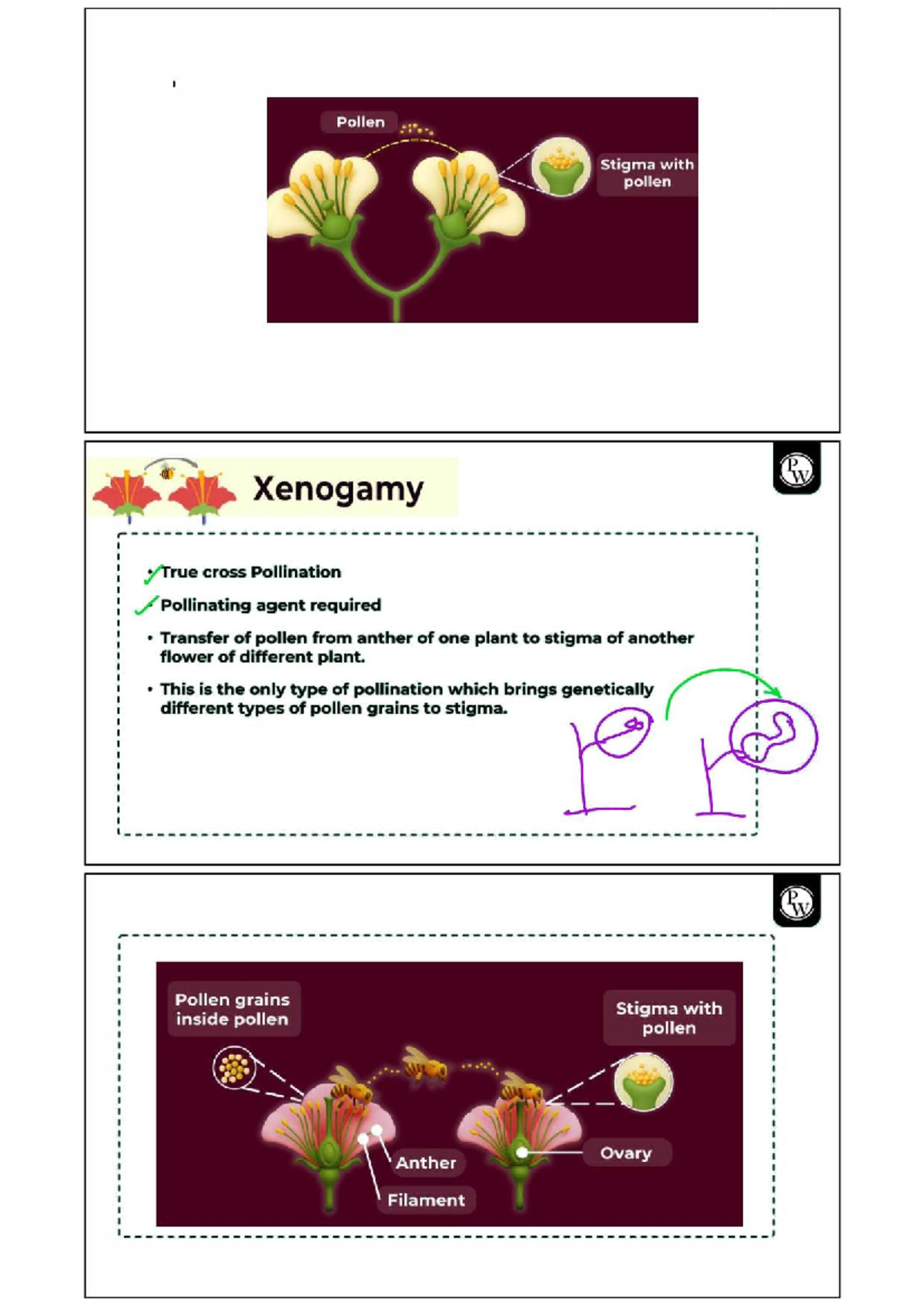 Reproduction in Plants: Pollination Mechanisms and Agents - Studocu