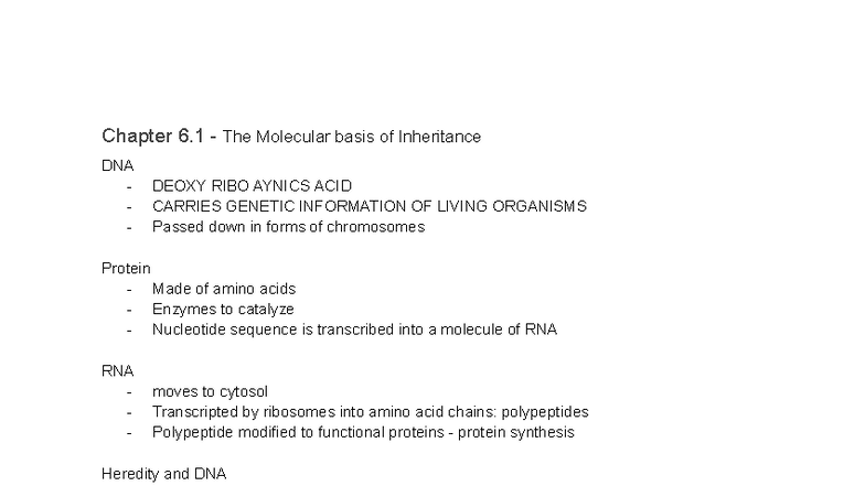 Chapter 6 & 7 Genetics Notes: Molecular Basis of Inheritance and Gene ...