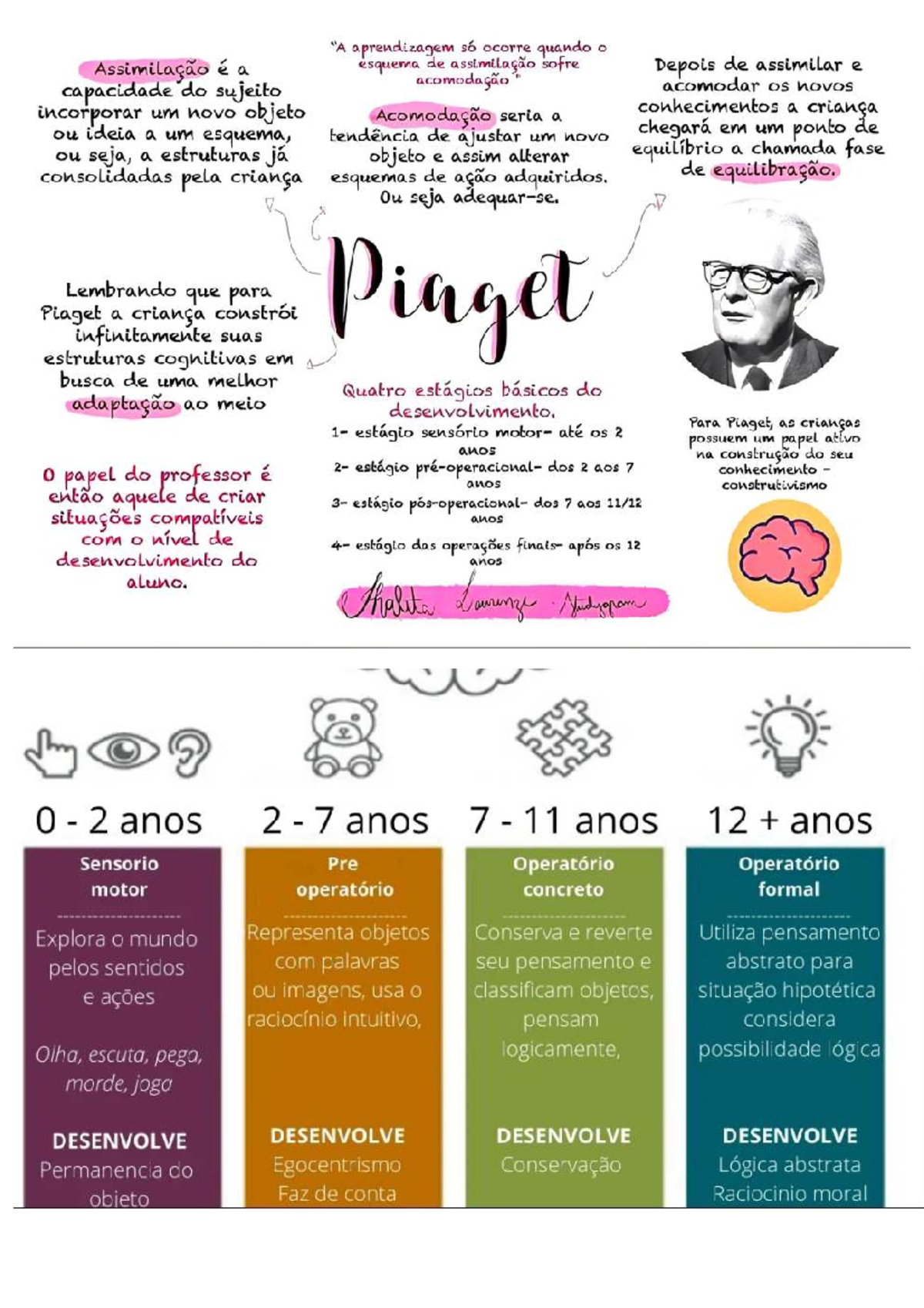 Caderno de Estudo: Teoria de Piaget e Desenvolvimento Cognitivo - Studocu