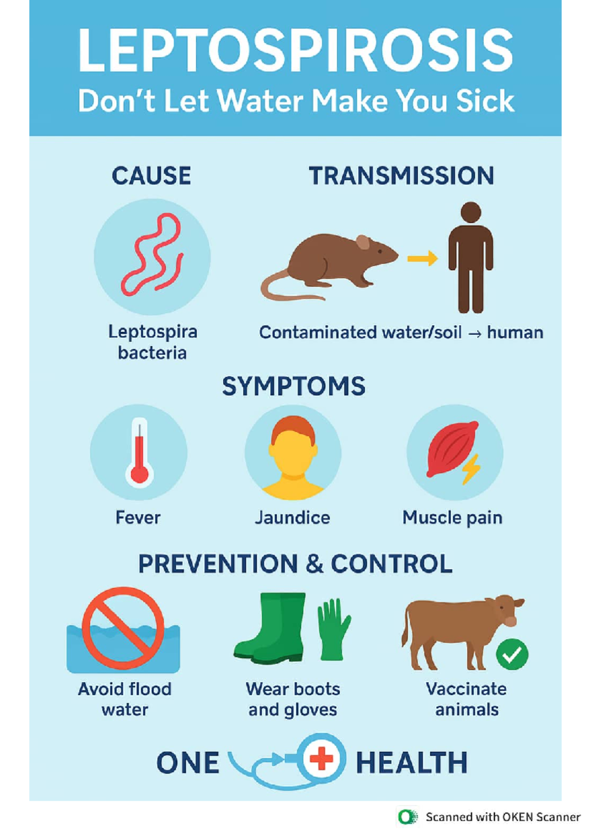 Leptospirosis - Strain Improvement | - Microbiology - LEPTOSPIROSIS Let ...