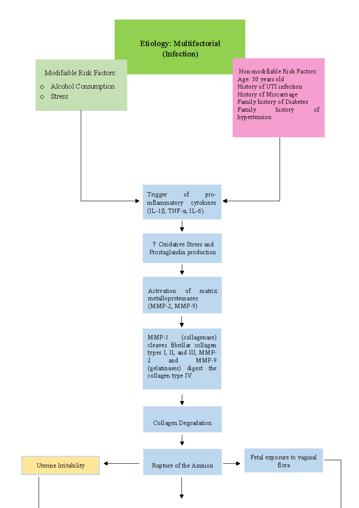 Revised Pathophysiology Notes: Multifactorial Etiology & Risk Factors ...