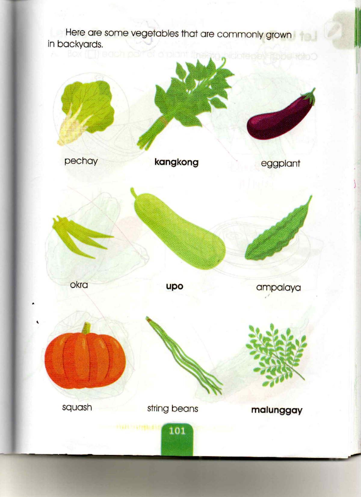 Fruits veges - this is the description - Here are some vegetables that ...