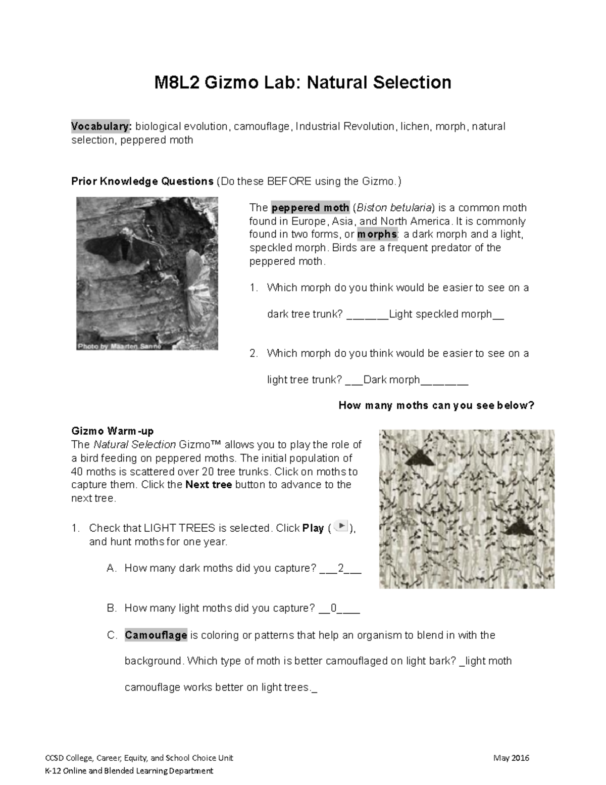 M8L2 Natural Selection Gizmo Lab: Observations & Conclusions - Studocu