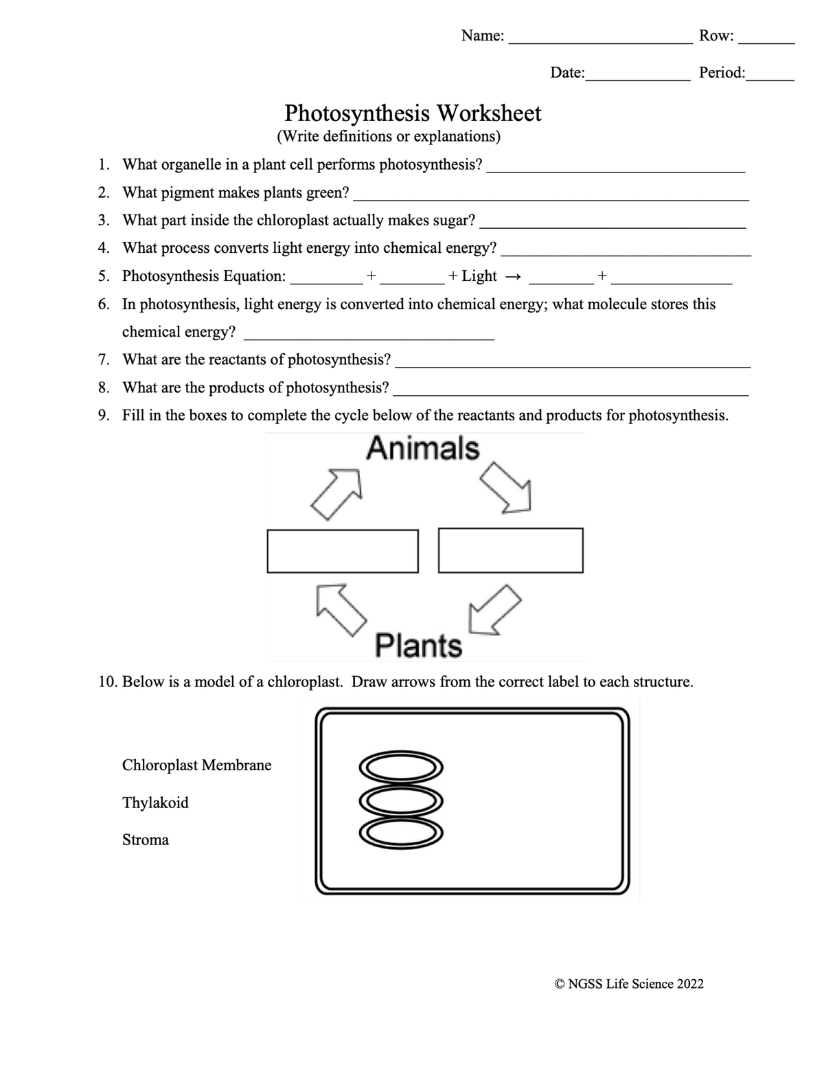 Photosynthesis Worksheet (NGSS Life Science 2022) - Studocu