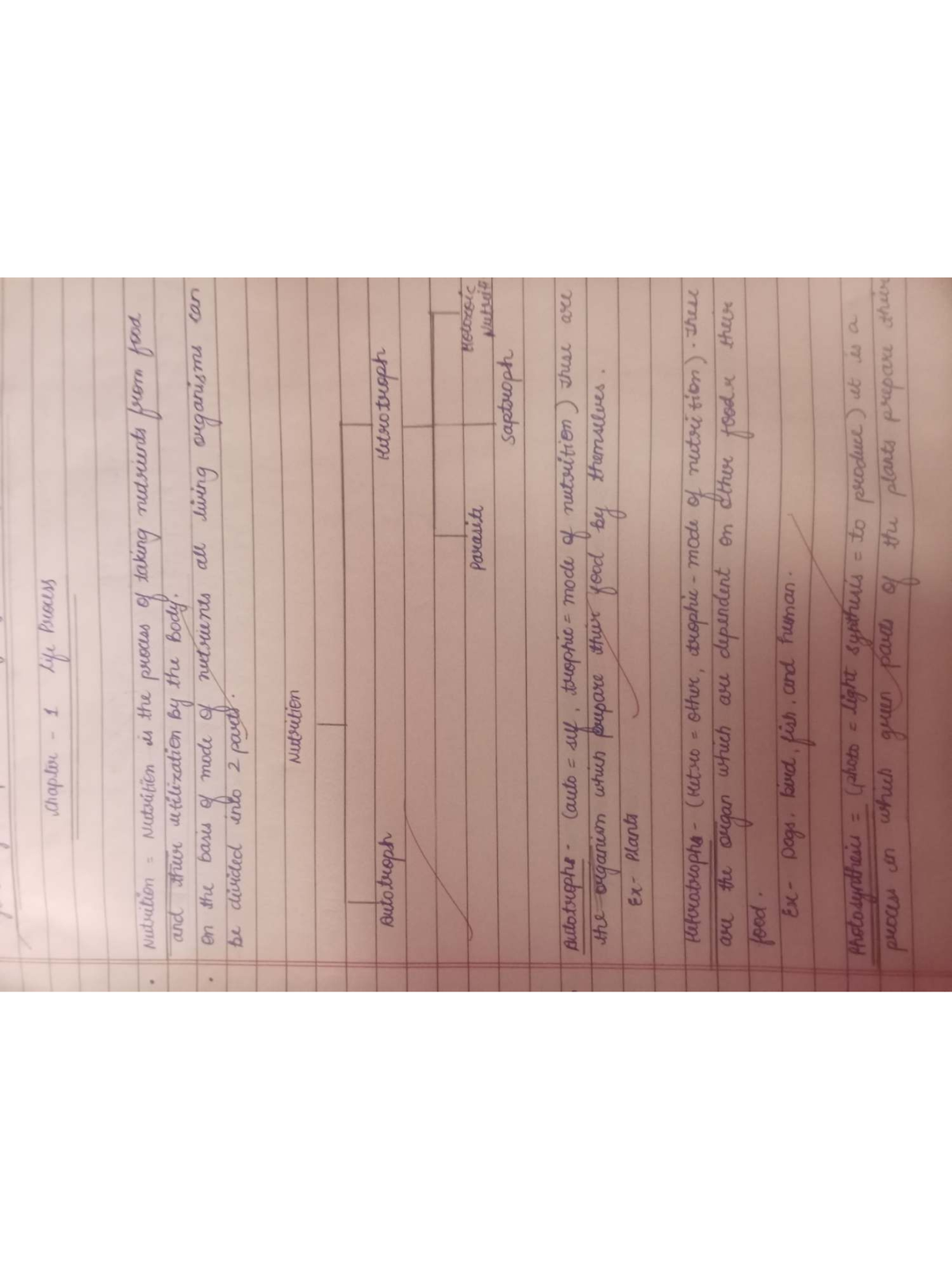 Class 10 Chapter 1 Life Processes: Nutrition Notes - Studocu