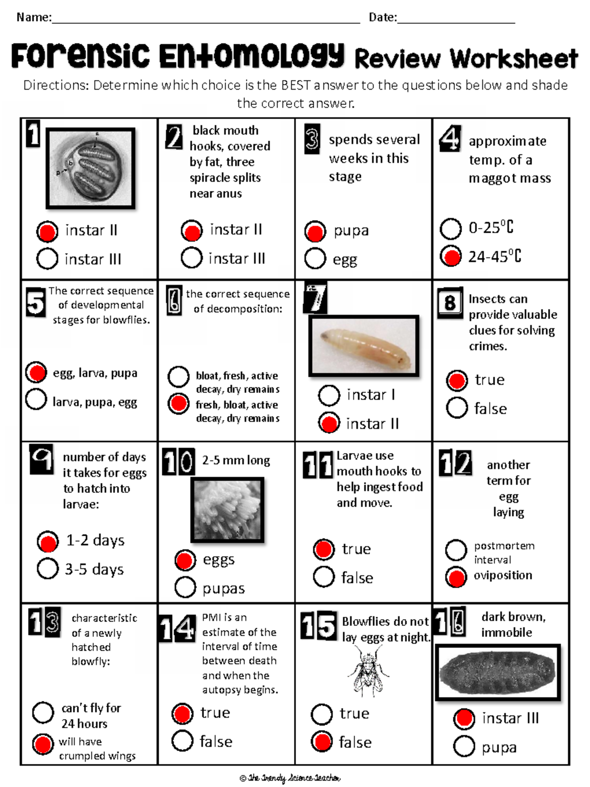 Forensic Entomology Review Worksheet: Key Concepts & Answers - Studocu