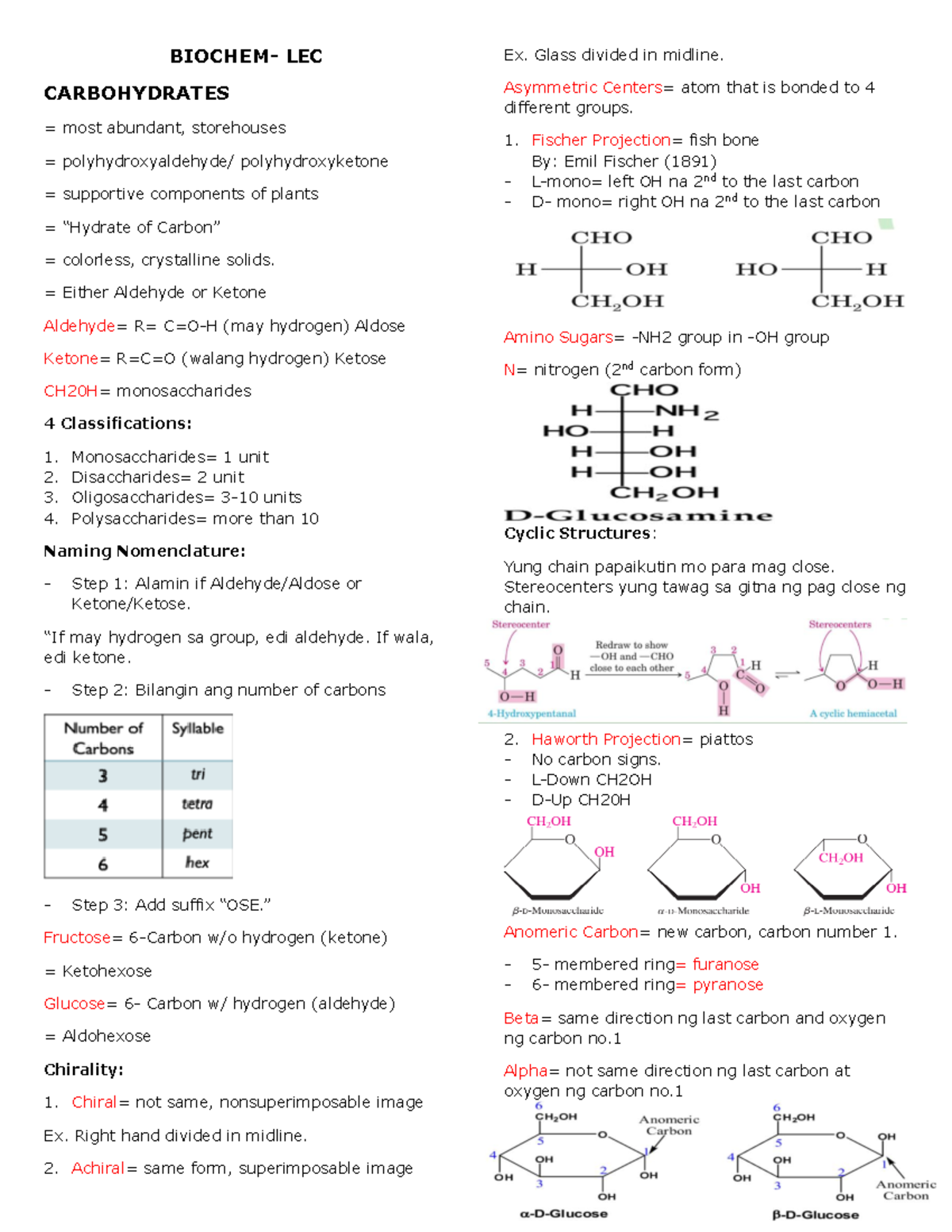 Carbohydrates Overview - BIOCHEM LEC Notes and Classifications - Studocu