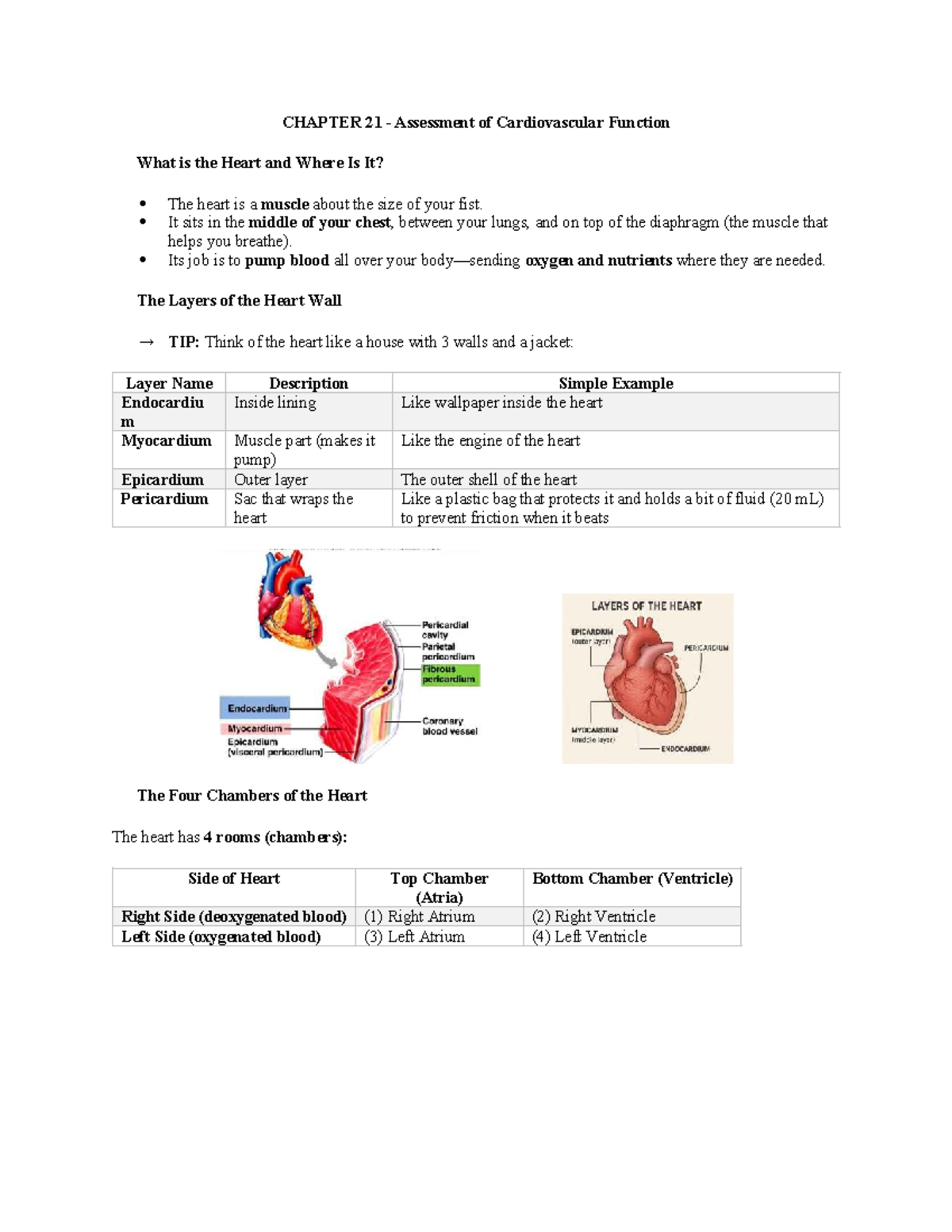 CHAPTER 21: Assessment of Cardiovascular Function and Heart Anatomy ...
