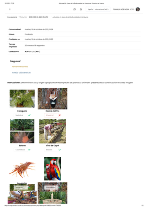 Actividad 5 - Mapa Interactivo Ambiental - Mis cursos - ! "! Español ...