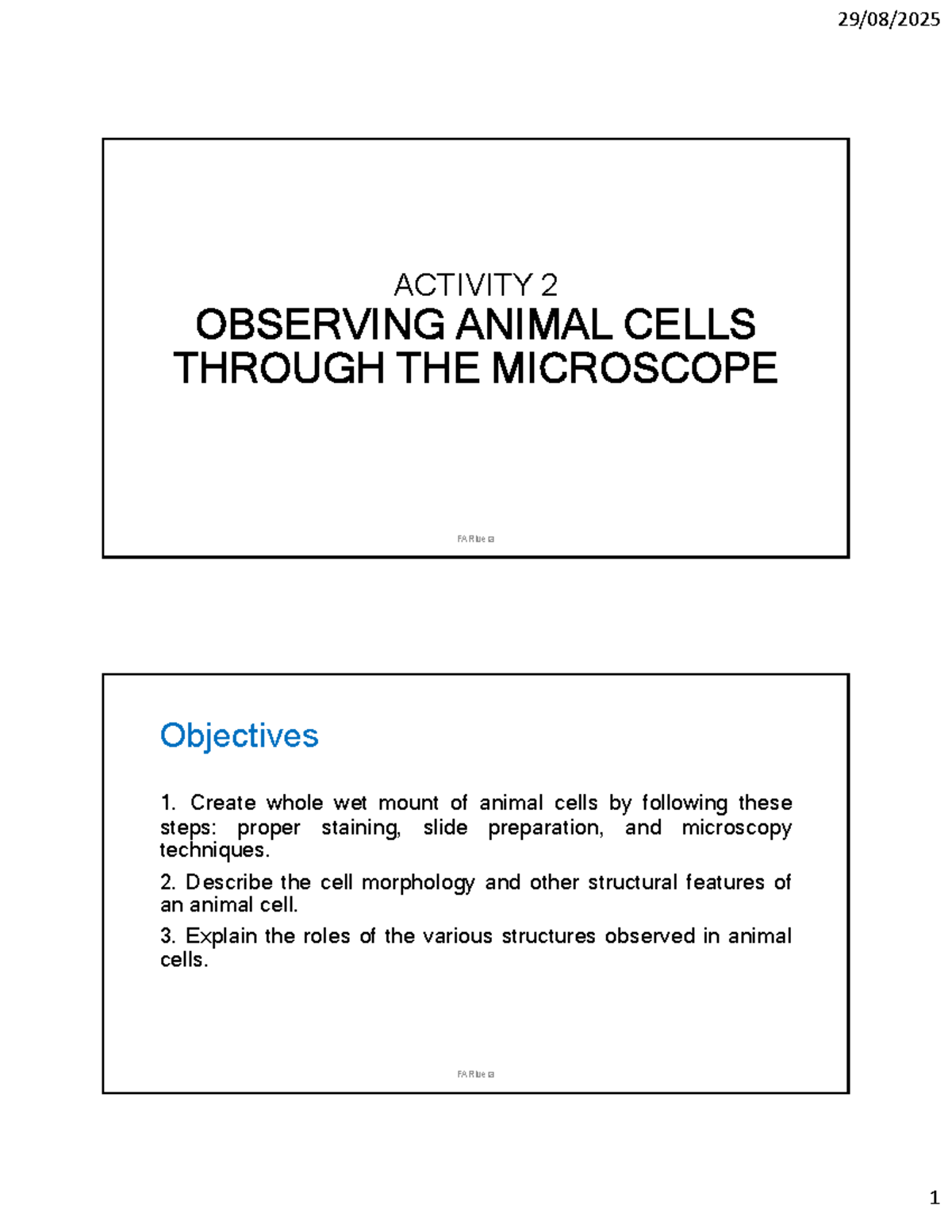 ACTIVITY 2: OBSERVING ANIMAL CELLS THROUGH THE MICROSCOPE - Studocu
