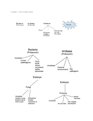 Microbiology Lecture Notes: Prokaryotes, Eukaryotes, and Taxonomy ...