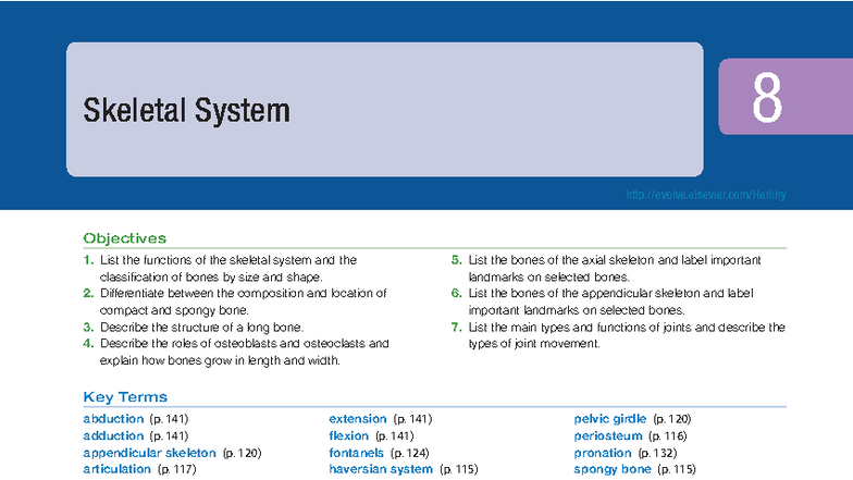 Skeletal System Overview: Key Objectives and Functions (BIO 101) - Studocu