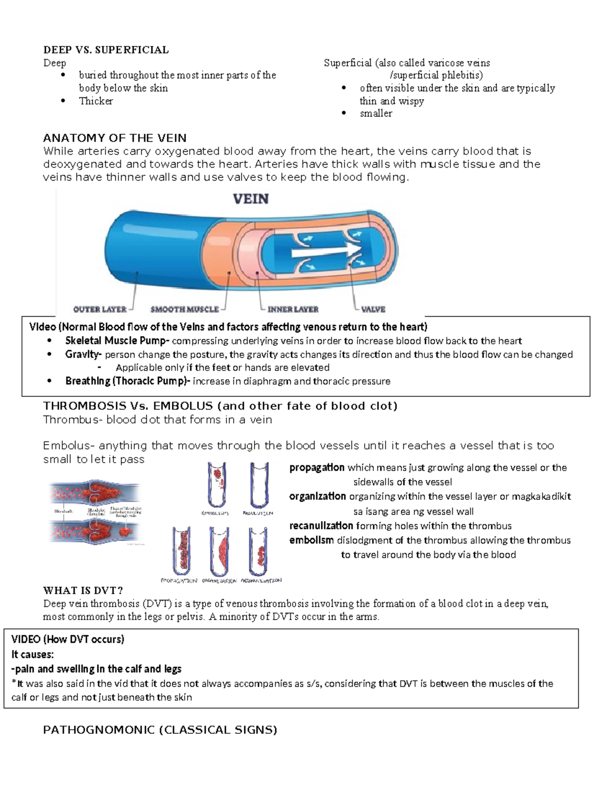 DVT - nurse, dvt, feet - DEEP VS. SUPERFICIAL Deep buried throughout ...