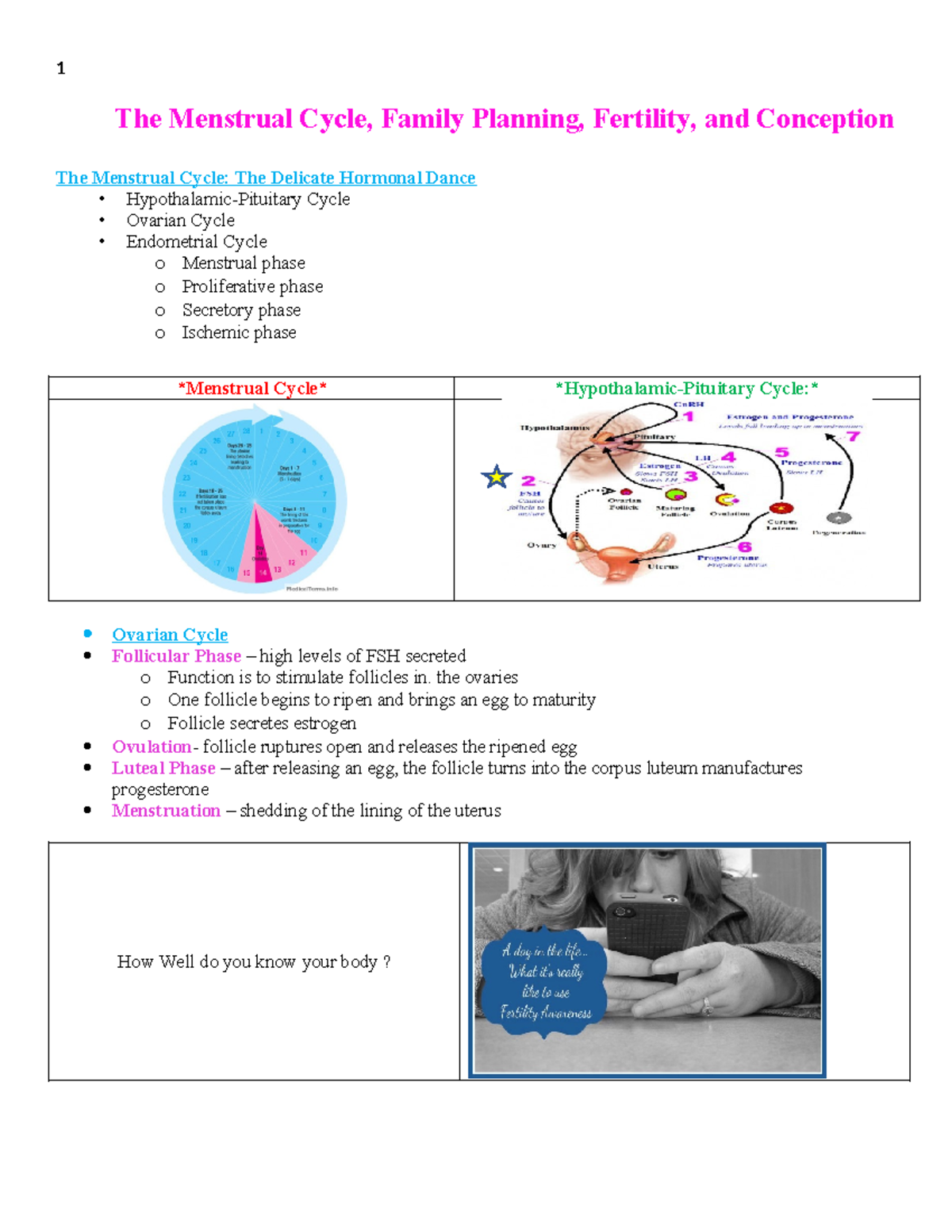 Maturnity Exam 1 - Notes - The Menstrual Cycle, Family Planning ...