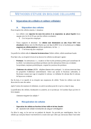 Fiche technique du pansement simple d - Fiche technique d’un pansement ...