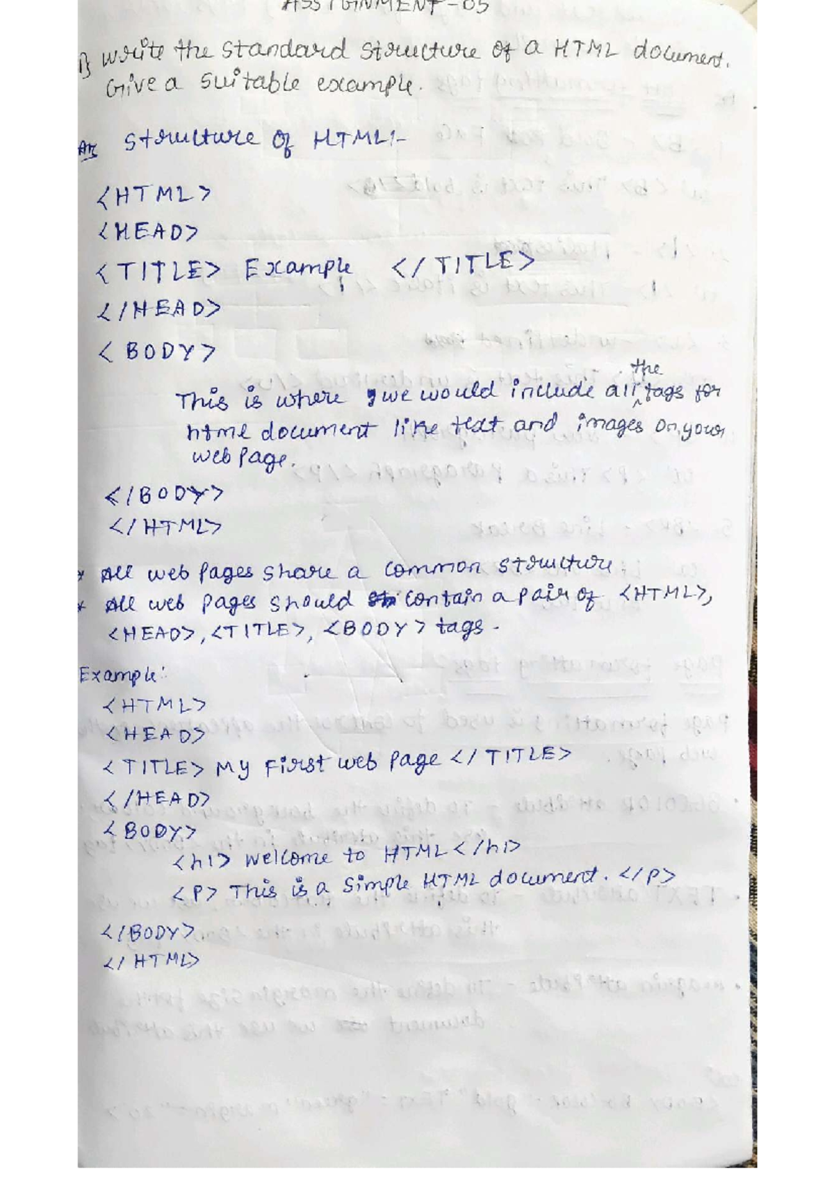 EIT Assignment 5: HTML Document Structure and SDLC Overview - Studocu