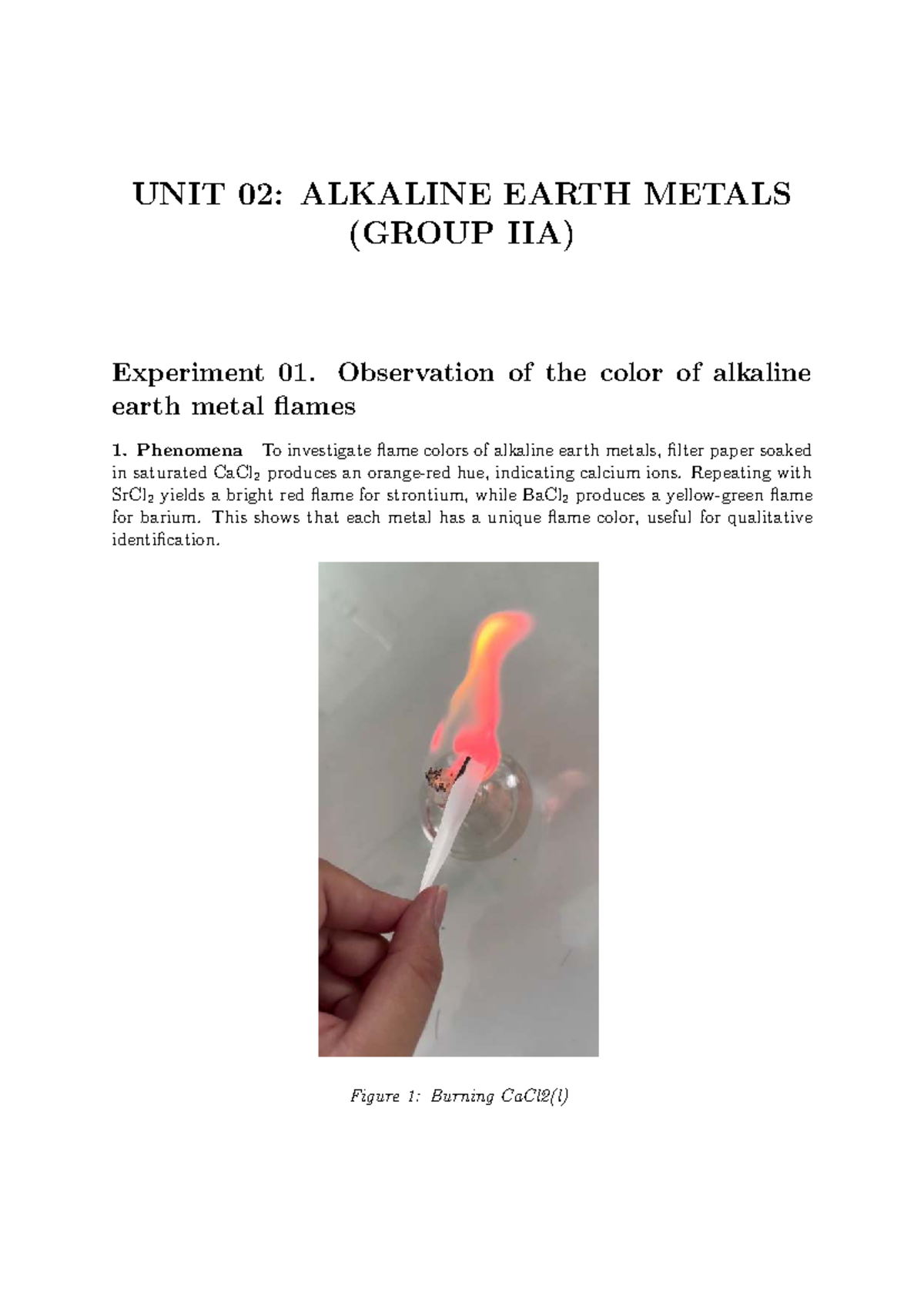 UNIT 02: ALKALINE EARTH METALS (GROUP IIA) Experiments & Observations ...