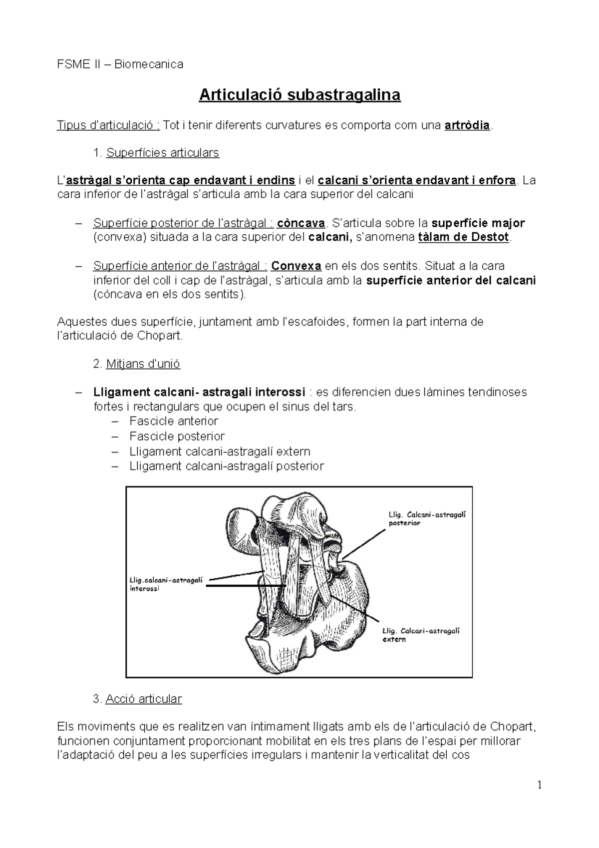 Fiche biomecanica subastragalina a imprimer - FSME II – Biomecanica ...