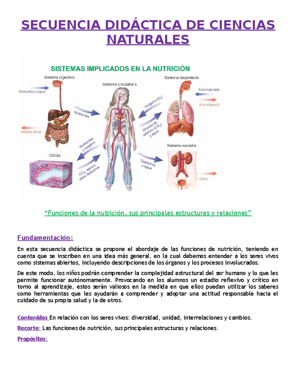 Hojas De Trabajo Sobre Los Sistemas Y Funciones Del Cuerpo Sistemas