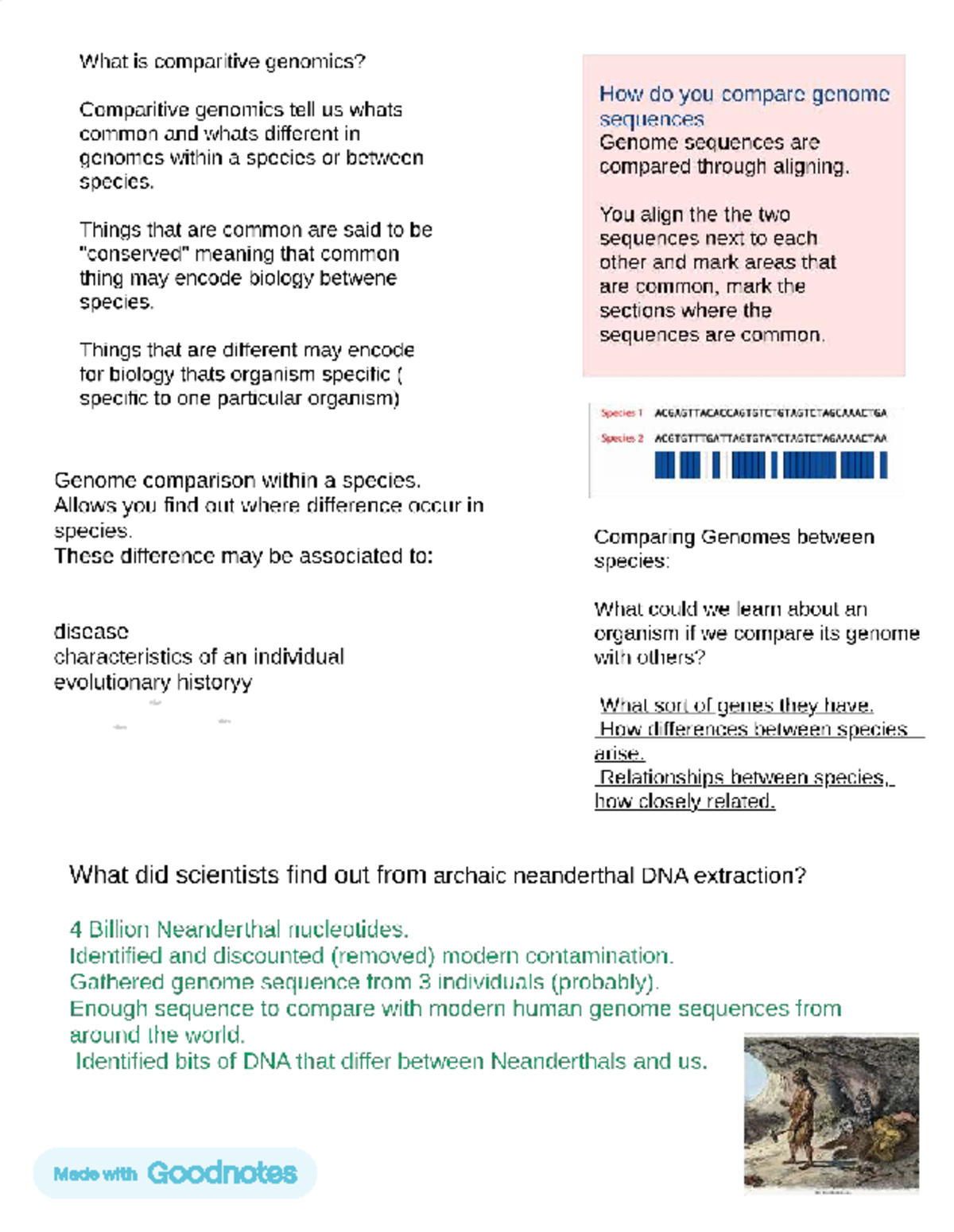 Comparative Genomics & Neanderthal DNA Analysis: Insights & Findings ...