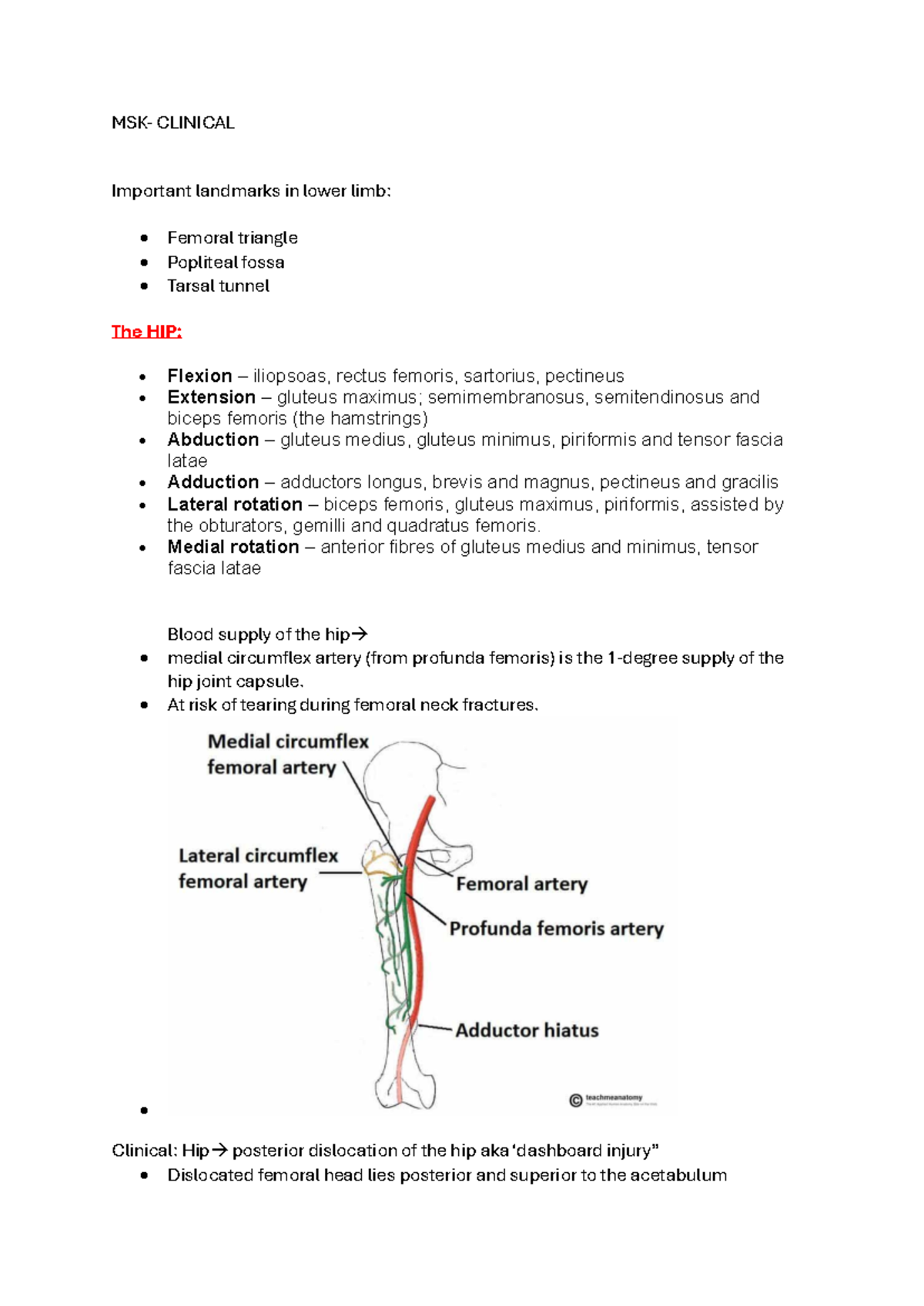 CLINICAL NOTES: Important Landmarks & Hip Mechanics in LIMB - Studocu