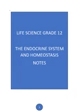 Grade 12 Life Science: Endocrine System Notes (Final Exam) - Studocu