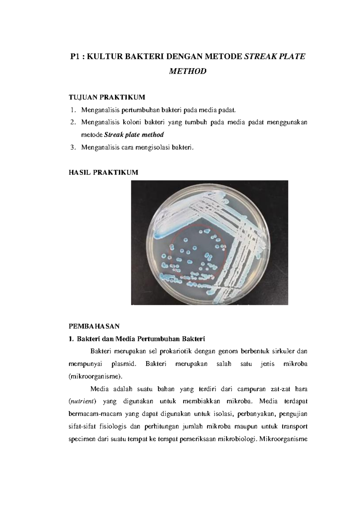 Laporan Praktikum Kulture Bakteri: Metode Streak Plate Dikenal - Studocu