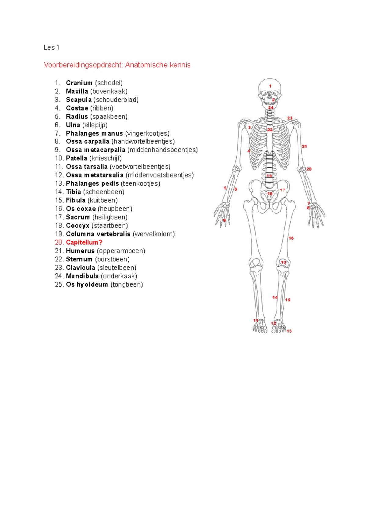 Anatomische Kennis van Skelet en Spieren: Bovenste Extremiteit en Les 1 ...
