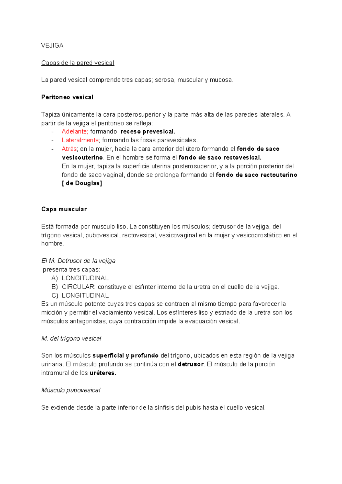 Anatomía de la Vejiga: Capas, Músculos y Relaciones Funcionales - Studocu