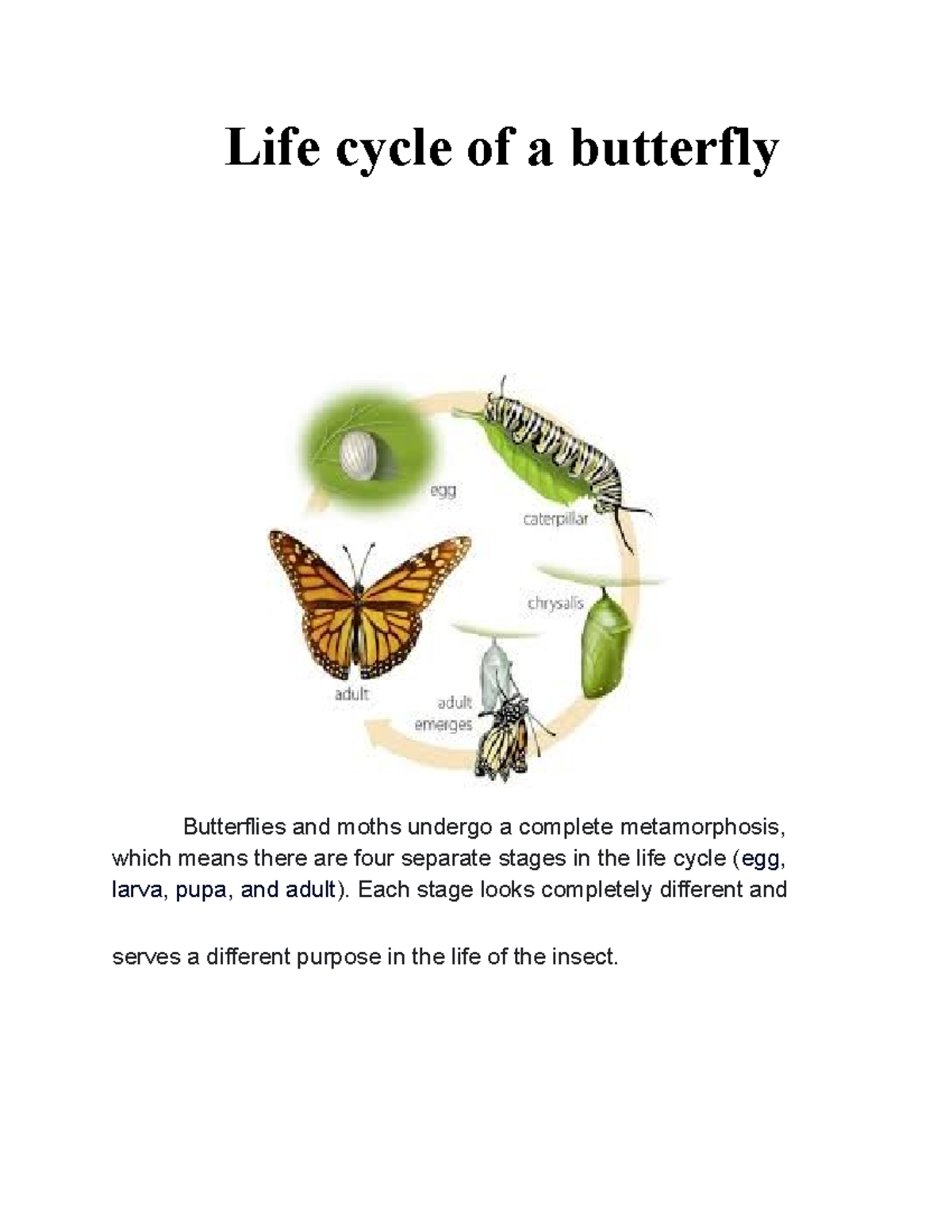 Life cycle of a butterfly - social - Life cycle of a butterfly ...