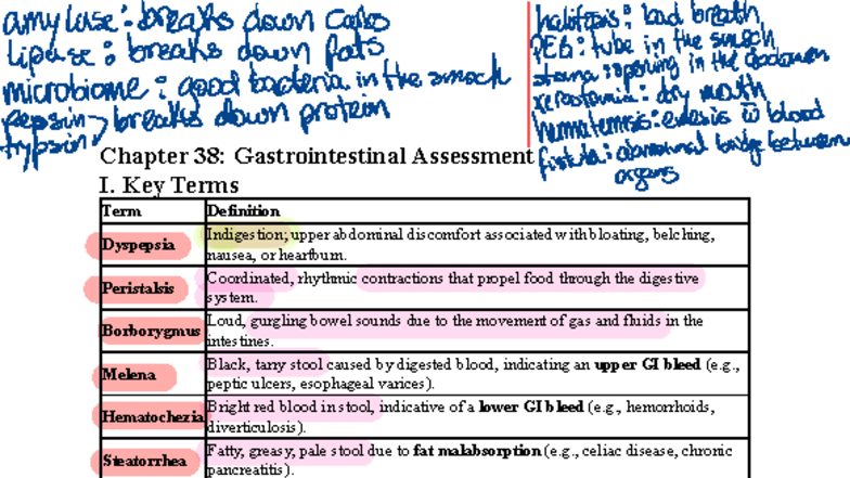 Gastrointestinal Assessment & Disorders: Key Terms & Concepts (144 ...