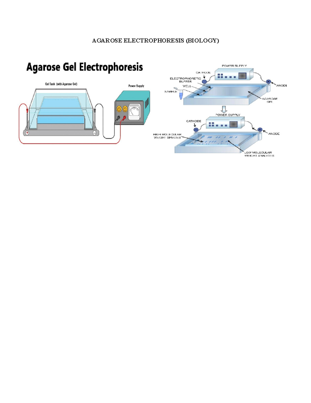 Agarose Electrophoresis AND Centrifugation - AGAROSE ELECTROPHORESIS ...