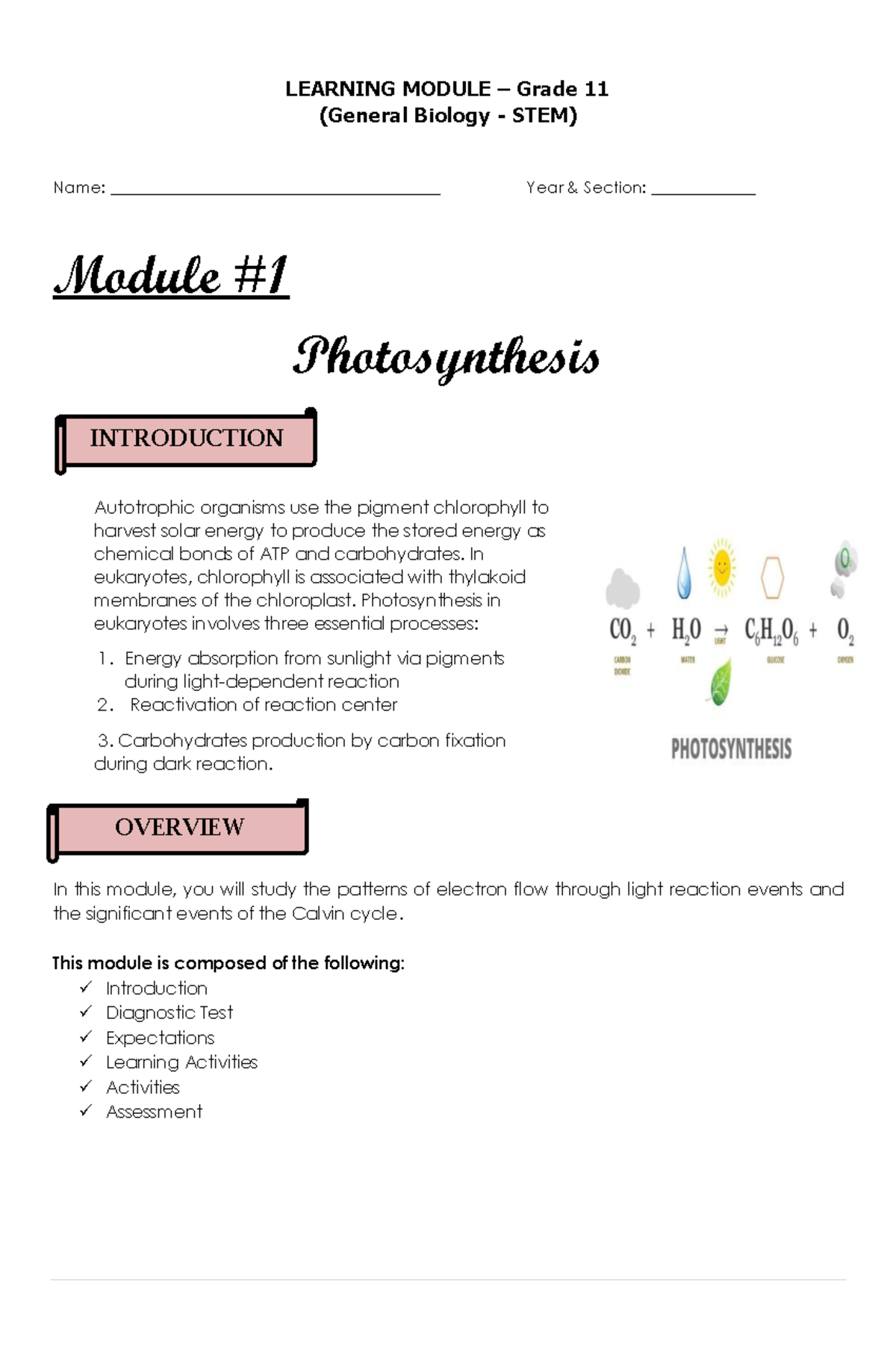 GENERAL BIOLOGY 2nd QUARTER- 6th MODULE - LEARNING MODULE – Grade 11 ...