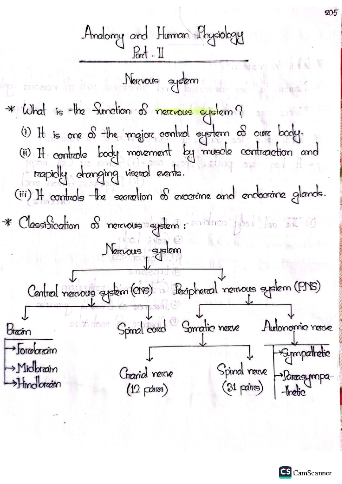 205 Anatomy and Human Physiology II: Nervous System Overview - Studocu