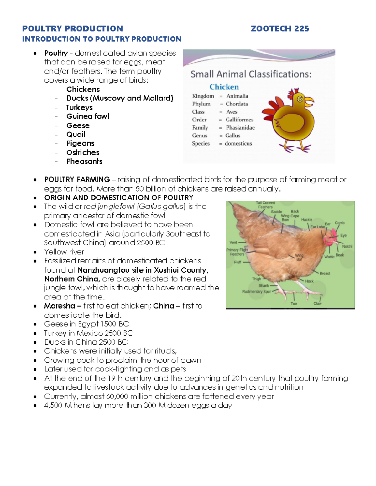 Poultry up to importance - INTRODUCTION TO POULTRY PRODUCTION Poultry ...