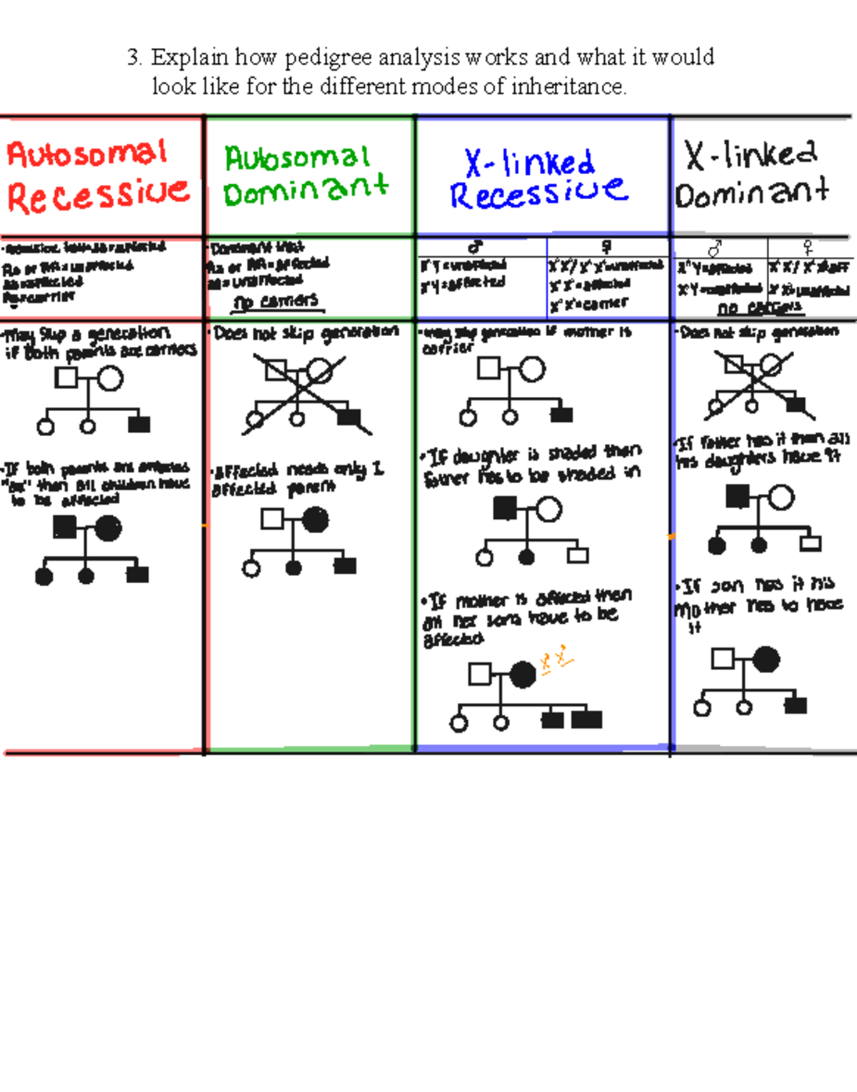 Exam 4: Pedigree Analysis of Inheritance Patterns in Genetics - Studocu